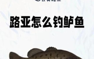钓鲈鱼用什么饵最好_鲈鱼路亚技巧全攻略