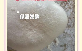 在家做披萨怎么做_披萨面团怎么发酵
