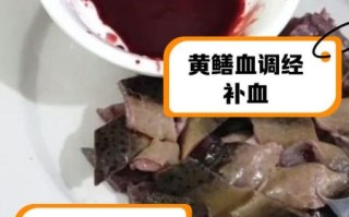 黄鳝的血有什么功效_黄鳝血能治什么病