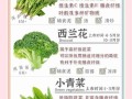 绿色蔬菜有哪些_绿色蔬菜怎么保存最新鲜
