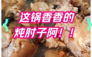 炖肘子家常做法_怎样炖肘子软烂不腥
