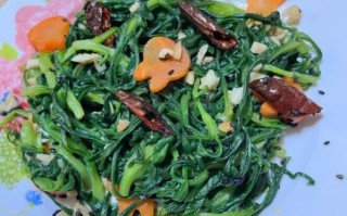 面条菜怎么做好吃_面条菜的功效与作用