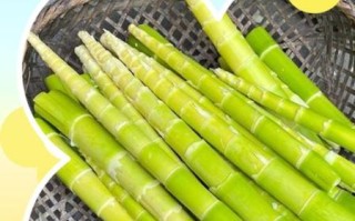 竹笋怎么保存_竹笋焯水多久