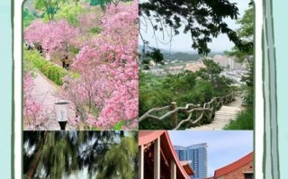 海沧有什么好玩的_海沧一日游最佳路线