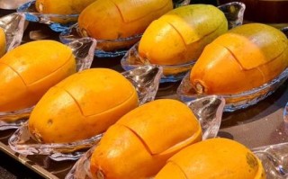 木瓜炖雪蛤要炖多久_雪蛤炖木瓜最佳时间