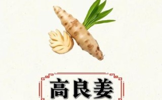 高良姜别名有哪些_高良姜和小良姜区别