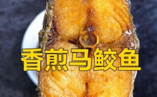 冰冻马鲛鱼怎么做好吃_冰冻马鲛鱼最鲜嫩的三种做法