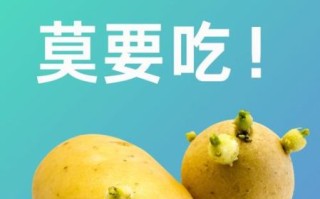 土豆下载安装_土豆视频怎么下载到手机