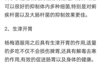 泡过酒的杨梅干怎么做_泡酒杨梅干能保存多久
