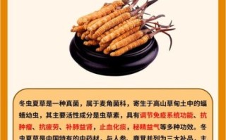 虫草怎么吃效果最好_虫草的功效与作用