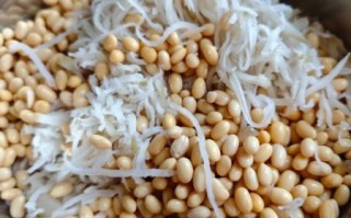 炒黄豆怎么炒才酥_炒黄豆需要提前泡吗