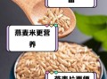 燕麦米不能和什么一起吃_燕麦米相克食物有哪些