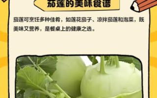 茄莲怎么炒好吃_茄莲的家常做法