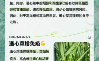 通心菜的功效与作用_通心菜怎么吃最营养