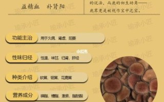 鹿茸的功效与作用吃法用量_鹿茸怎么吃效果最好