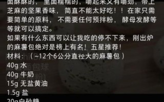 正宗麻球怎么做_麻球配方比例是多少