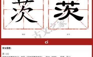 茨怎么读_茨字拼音与含义