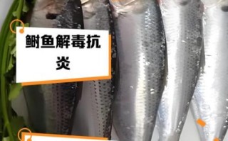 鲥鱼多刺怎么办_雀儿药粥做法详解