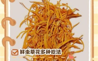 虫草花的功效与作用及营养_虫草花怎么吃效果最好