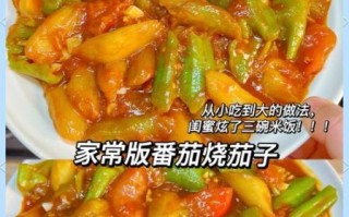 番茄炒茄子怎么做好吃_家常做法步骤详解