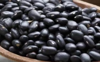 黑芸豆是黑豆吗_黑芸豆与黑豆区别