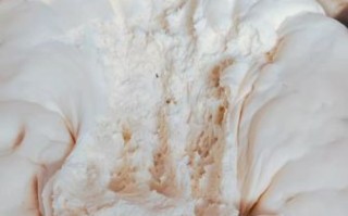 酵母粉发面后还要放碱吗_不放碱行不行