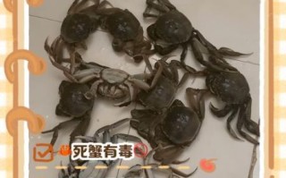 螃蟹死后多久不能吃_死了的螃蟹几小时有毒