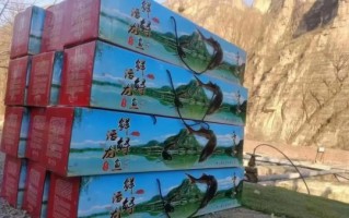 鲟鱼养殖场怎么选_鲟鱼苗价格多少钱