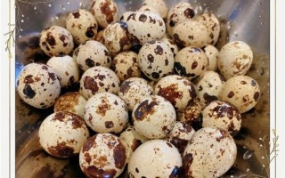 鹌鹑蛋怎么做好吃_鹌鹑蛋的营养价值高吗