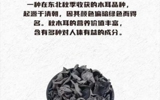 松蘑和榛蘑哪个好_营养价值与口感对比