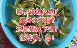 米粽子煮多久能熟_生粽子冷水下锅还是热水