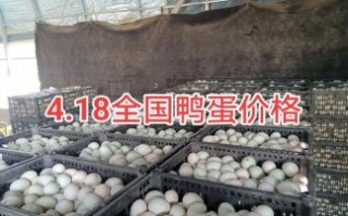 鸭蛋价格今日多少钱一斤_鸭蛋行情为什么波动大