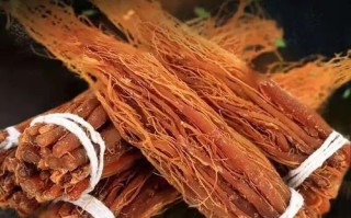 红参须的功效与作用_红参须怎么吃效果最好