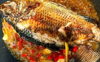罗非鱼怎么做好吃_罗非鱼清蒸还是红烧
