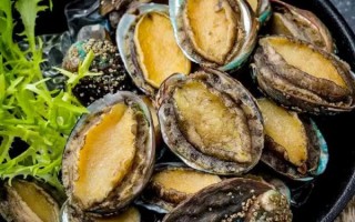 鲍鱼多少钱一斤2020_2020年鲍鱼价格行情