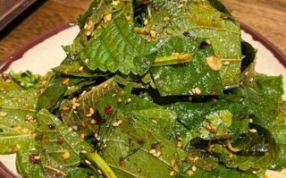 紫苏怎么腌制好吃_紫苏叶的做法大全