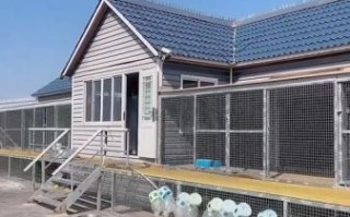 鸽子养殖大棚怎么建_鸽子养殖大棚图片大全