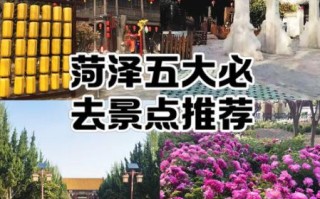 菏泽旅游景点大全排名_哪些景点最值得去