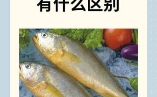 大黄花鱼是海鱼还是淡水鱼_大黄花鱼生活在哪里