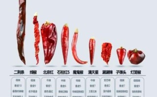 辣椒品种大全及名称_哪种辣椒最辣