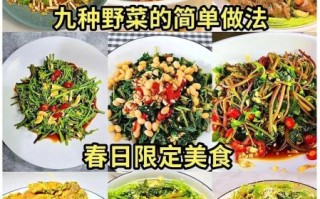 山野菜怎么做好吃_山野菜的做法大全