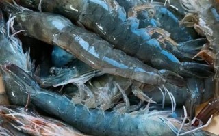 烤箱烤虾怎么烤_烤虾的做法烤箱温度时间