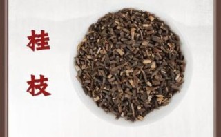 桂枝的功效与作用禁忌_桂枝哪些人不能吃