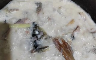 鲤鱼汤怎么做_鲤鱼汤的家常做法