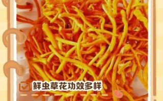 虫草花怎么吃最营养_虫草花有什么功效