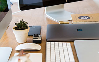 菠菜炒鸡蛋可以一起吃吗_菠菜炒鸡蛋相克吗