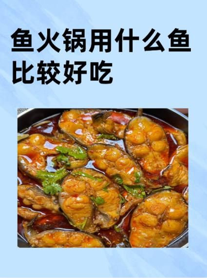 涮鱼火锅怎么做_涮鱼火锅用什么鱼最好-第1张图片-山城妙识 涮鱼火锅怎么做_涮鱼火锅用什么鱼最好-第1张图片-山城妙识