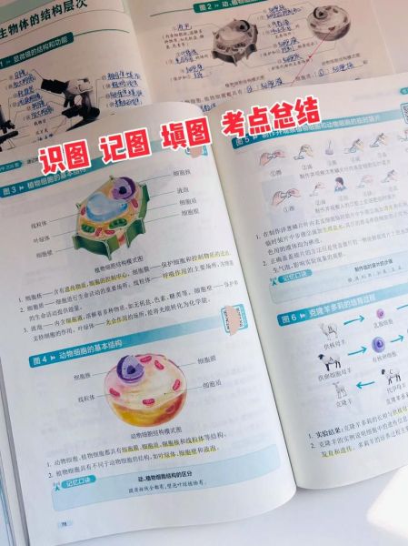 初中地理生物怎么学_初中地理生物提分技巧-第2张图片-山城妙识 初中地理生物怎么学_初中地理生物提分技巧-第2张图片-山城妙识