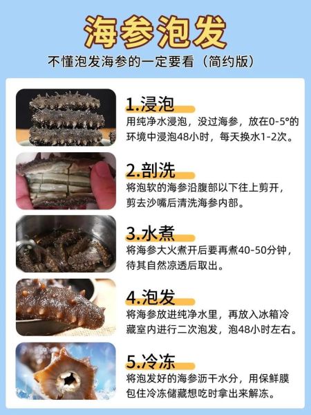 干海参怎么泡发_干海参怎么做最好吃-第3张图片-山城妙识 干海参怎么泡发_干海参怎么做最好吃-第3张图片-山城妙识