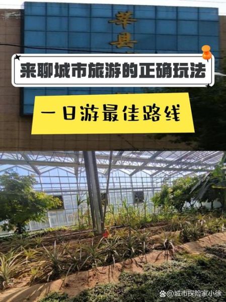 莘县有什么好玩的_莘县一日游最佳路线-第1张图片-山城妙识